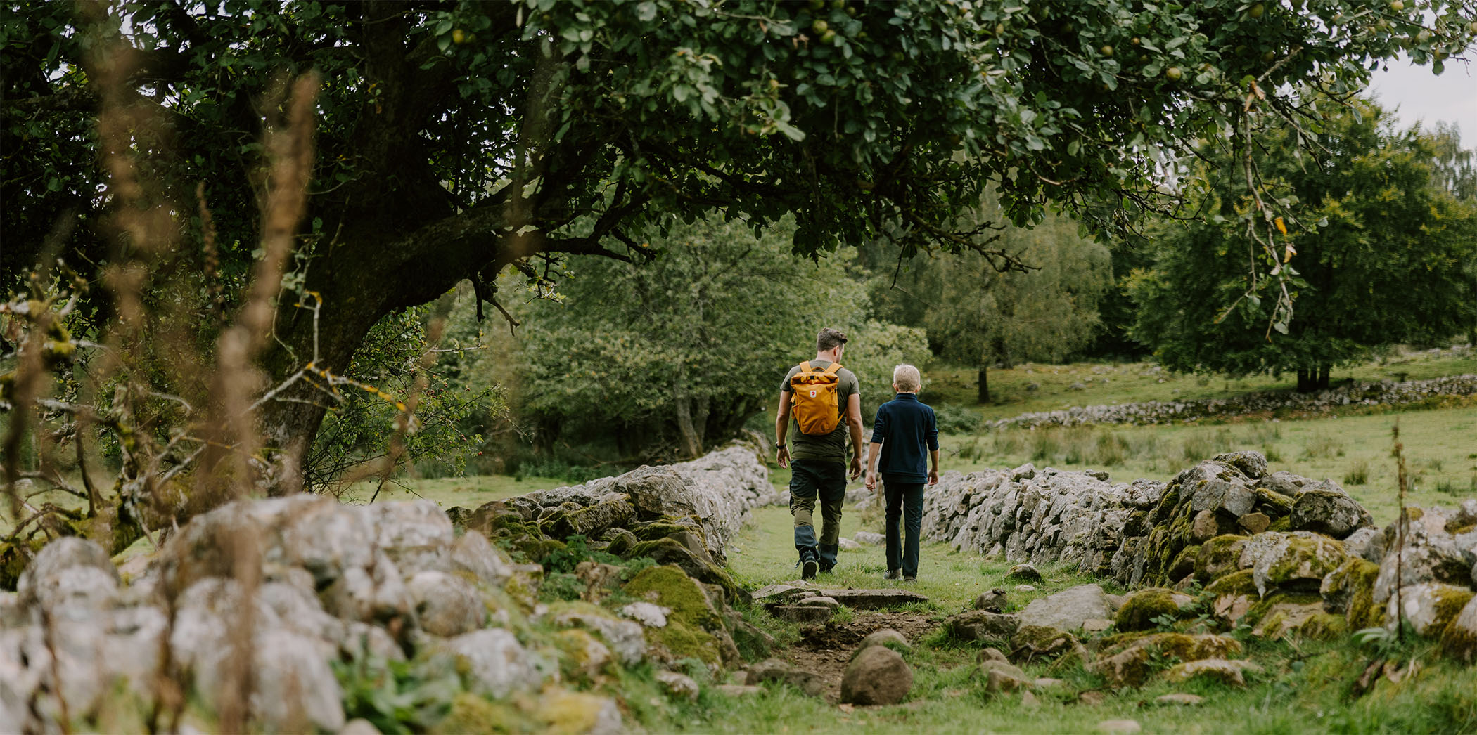 Vandring kring Söderåsen i Skåne - Svenska Turistföreningen
